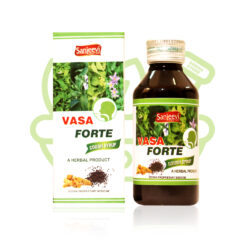 Vasa Forte